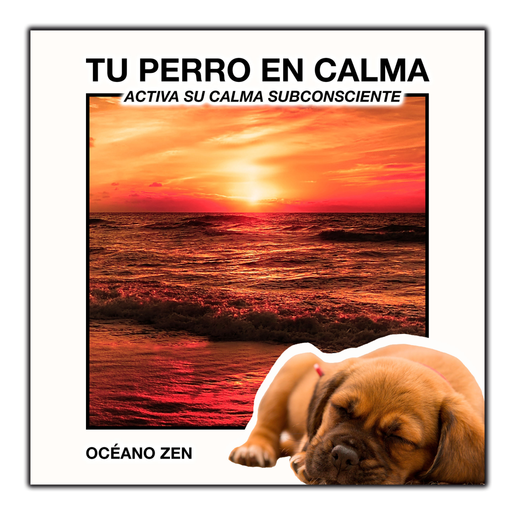 Tu perro en calma | El Perro Feliz